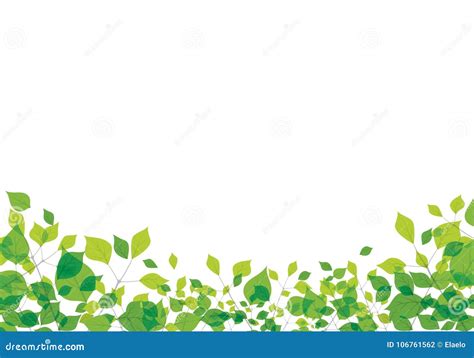 Leaf Background Vector Design Stock Vector Illustration Of Forest Branch 106761562