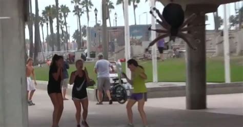 Giant Spider Prank Video Showing Hysterical Reactions Of Victims Goes