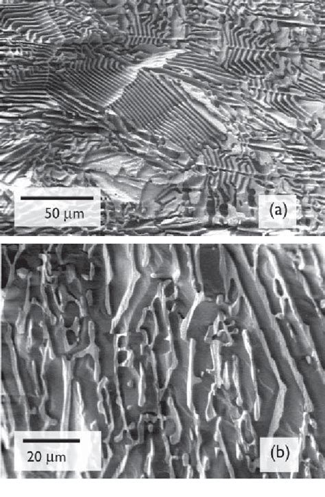 Figure 1 From Solidification And Microstructures Of Binary Ice I