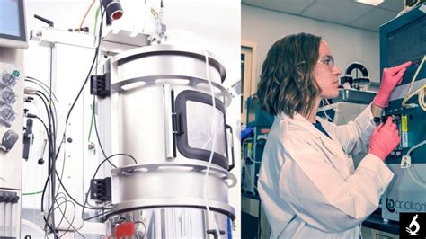 Bioprocess Engineering Definition Types Uses Biology Notes Online