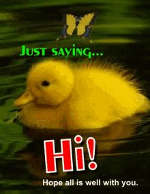 Hope All Is Well S Tenor
