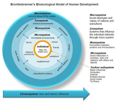 Image Result For Bronfenbrenners Bioecological Model Human Development Social Work Theories