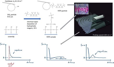 Microscopy Research And Technique Microscopy Journal Wiley Online