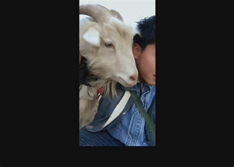 Filme Von Arbeiterinnen Auf Der Großen Leinwand