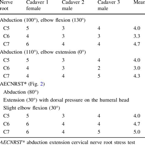 Pdf Abduction Extension Cervical Nerve Root Stress Test Anatomical Basis And Clinical Relevance