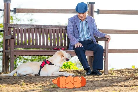 7 Rekomendasi Drama Terbaik Lee Soon Jae Tahun 2000 An Dari Pemeran Pendukung Utama Dalam