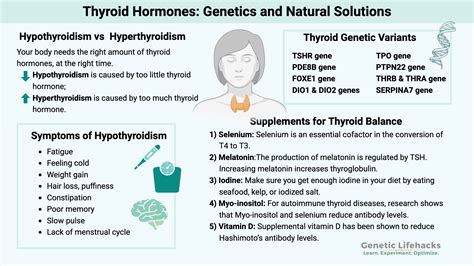 Thyroid Gland Hormones Iodine Thyroid Hormones And The Thyroid Gland