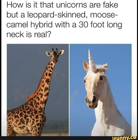 How Is It That Unicorns Are Fake But A Leopard Skinned Moose Camel
