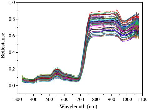 Canopy Reflectance Spectra Processed Download Scientific Diagram