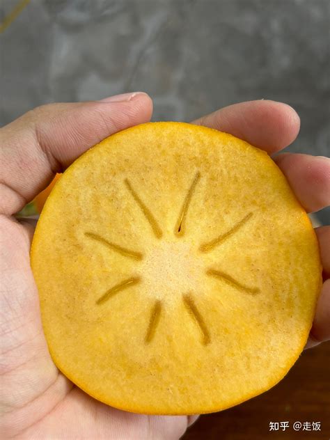 脆柿子哪里的最好吃？几月份脆柿子上市呢？