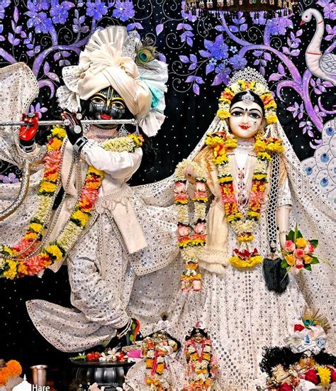 Roshni Bhandari On Linkedin Shri Radhe Hare Krishna 🙏🦚🪷🪷