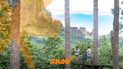 Accrobranche à Tahiti Et Moorea La Nature En Version Fun Anoe Guide