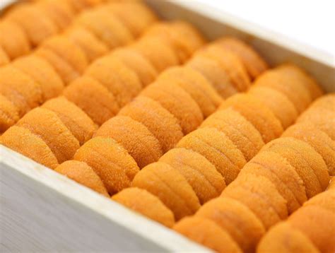 Understanding Uni Grades What You Need To Know Hokkaido Uni Shop