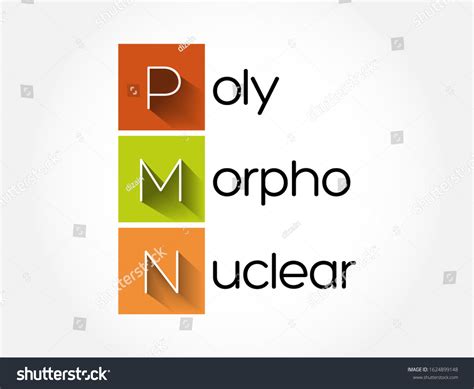 Eosinophil Basophil Mast Cell Over 98 Royalty Free Licensable Stock Vectors And Vector Art