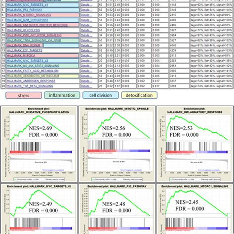 Data Analysis By Gsea Demonstrates A Massive Over Representation Of