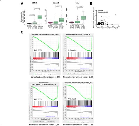 Prc2 Complex Is Deregulated In Mm In Association With Cell Download Scientific Diagram