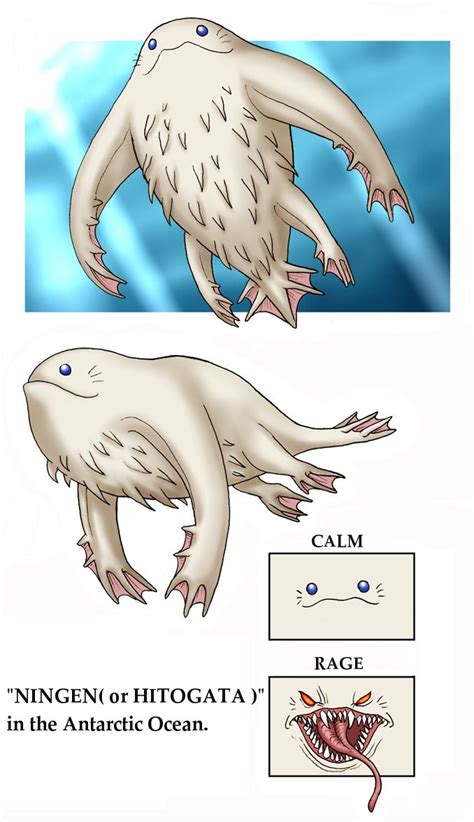 Ningen By Ikura Maru Mythical Creature Artwork Ningen Cryptid