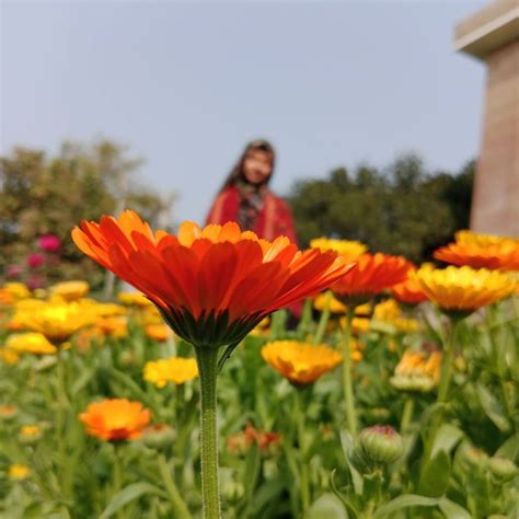 Excel Ms Word Shortcuts That You Need To Know 💯💥 Msexceltips