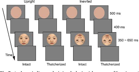 Figure 7 From The Role Of Perceptual Processing In The Oddball Effect