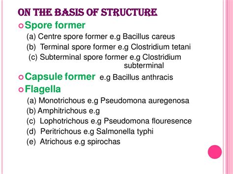 Microbiology Bacteria Taxonomy