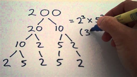 Primefact Number Factorsmp4 Youtube