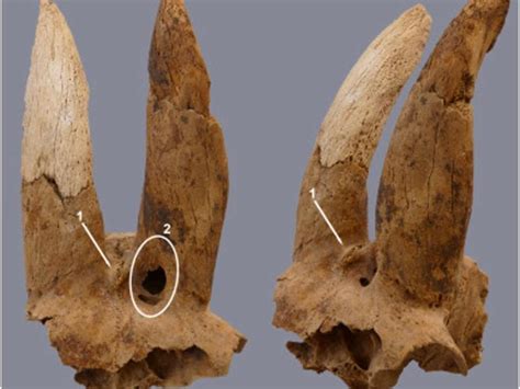 زن در حال فریاد در زمان مرگ درد زیادی کشید ایندیپندنت فارسی