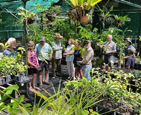 Visit Us C4 Community For Coastal And Cassowary Conservation