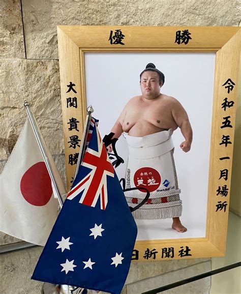 Dyk Salt Sumo Iconic Australian Abei Trade Opportunity Murray Spence
