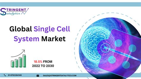 Single Cell System Market Statistics Segment Trends And Forecast To 2032