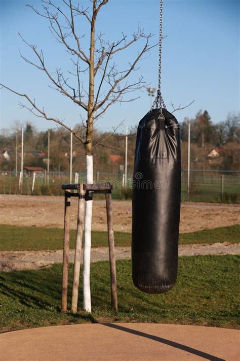 A Black Bag Hanging From A Chain Is Next To A Tree Stock Image Image