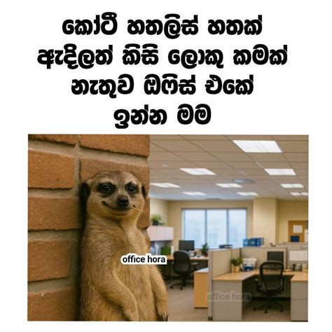 Ishara Wickramasinghe