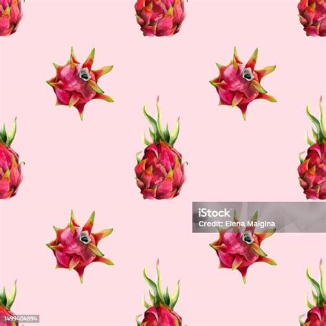 라이트 핑크 피타야 드래곤 과일은 수채화 피타하야 그림이 있는 단순한 이음매 없는 패턴입니다 미니멀리스트 식물 열대 배경 건강한 식생활에 대한 스톡 벡터 아트 및 기타