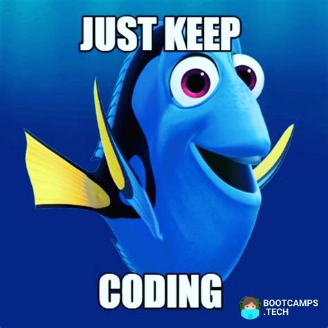 Bootcamps I Live To Code 😋 Codingmemes Coding