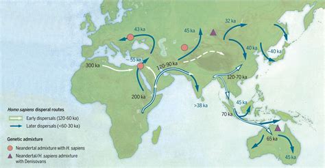 La Siempre Intrigante Dispersión De Homo Sapiens Perspectivas Actuales