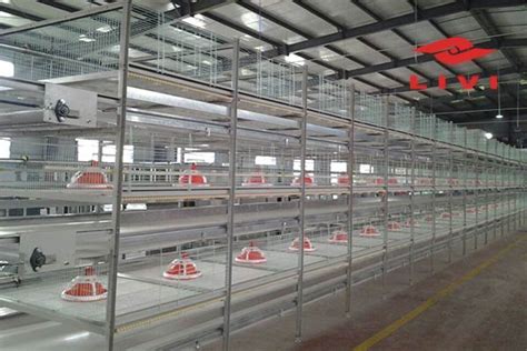 Cost Of Rearing 10000 Broilers In Nigeria Battery Cage System Poultry Equipment Manufacturer