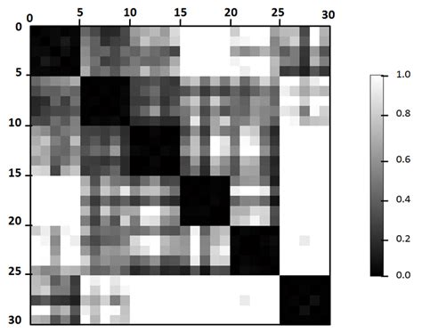 Matrix Of Pairwise Normalized Hausdorff Shape Distance Between The Download Scientific Diagram