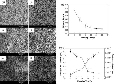A To F Sem Photographs Of Pc Microcellular Foams Foamed In The Download Scientific Diagram