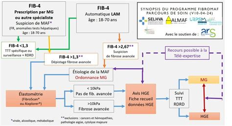 Programme Fibromaf Analyse Du Score Fibrosis 4 Fib 4 Les Hôpitaux