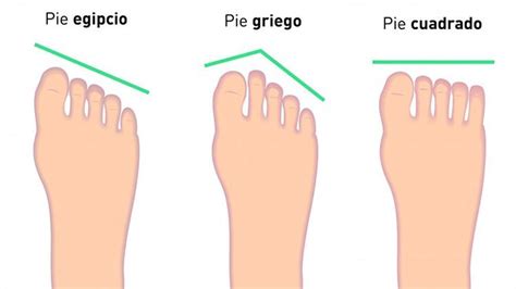 ¿eres De Pie Egipcio O Griego Dime Cómo Es Y Te Diré Cómo Eres