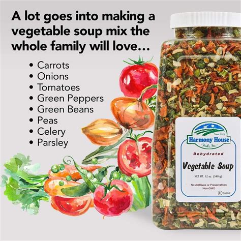 Dried Vegetable Soup Mix Recipe Besto Blog