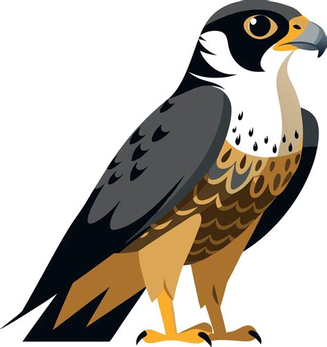 Uae Falcon Vector Art Icons And Graphics For Free Download