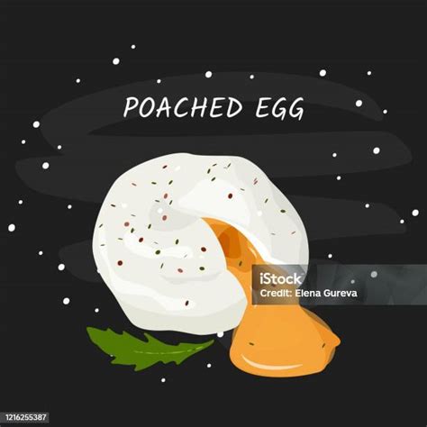 Poached Egg Vector Meal Illustration Isolated On White Background Stock