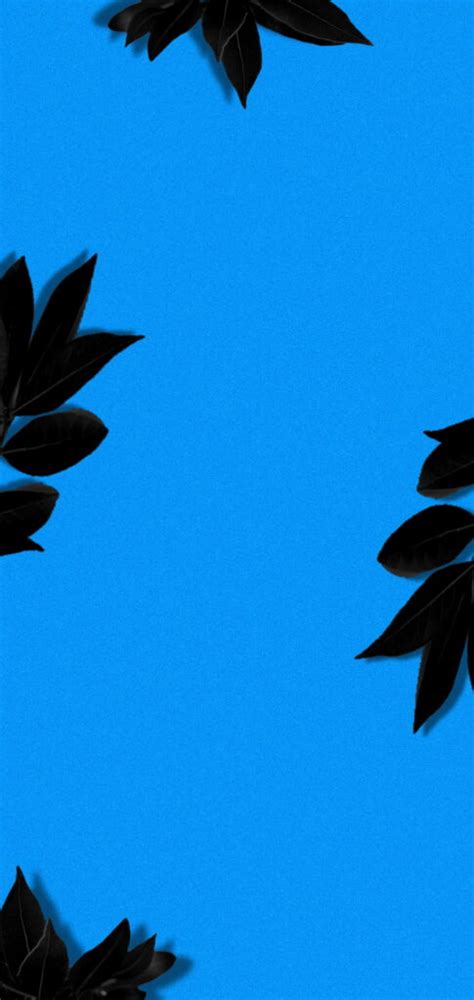 Bugs Bunny Punch Hole Effect Wallpaper Background Free Download