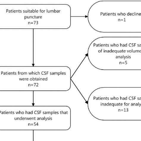 Flowchart Of Patient Enrolment For Csf Analysis Download Scientific