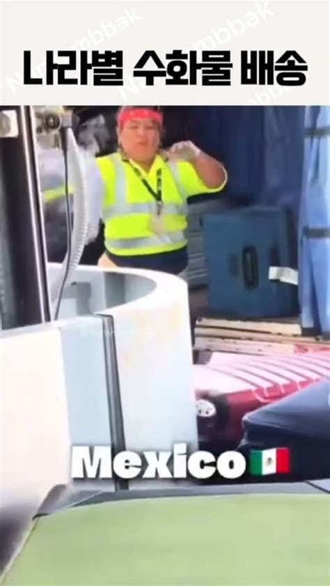 댕댕이 특 주인이랑 비슷함ㅋㅋㅋㅋㅋㅋㅋㅋㅋㅋㅋ Funnyreels 웃긴짤 웃짤 Funnymemes Funnyvideos Funny 웃긴동영상 해외밈 Nun