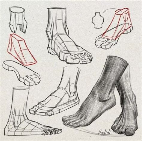 Pin By Annarose Illustrates On Figure Drawing Anatomy Sketches Feet