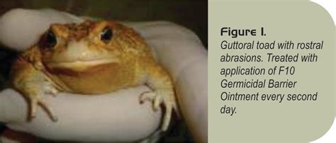 F10 Germicidal Barrier Ointment F10 Products