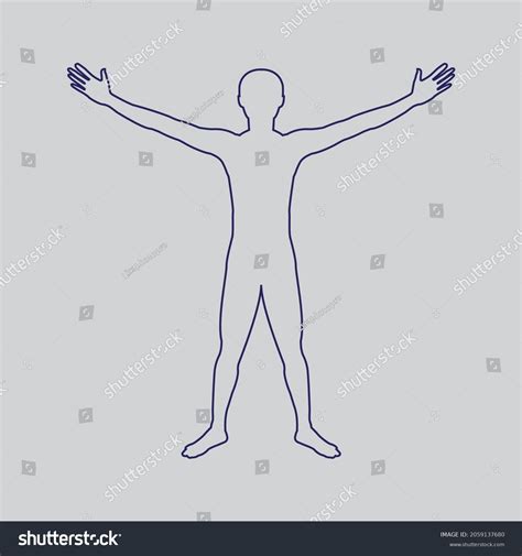 Male Body Outline Vector Illustration Anatomical Stock Vector Royalty Free 2059137680