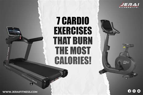 Best Gym Equipment Brand In India Gym Equipment Manufacturer
