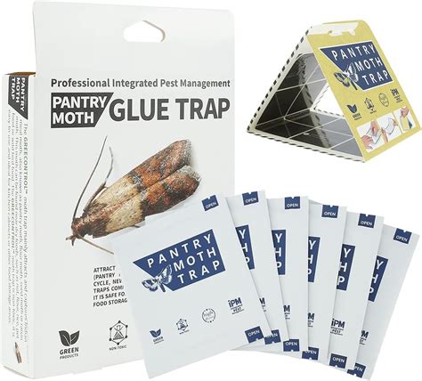 6pcs Cloth Moth Trap Pantry Moth Trap Moth Prevention Traps Eco